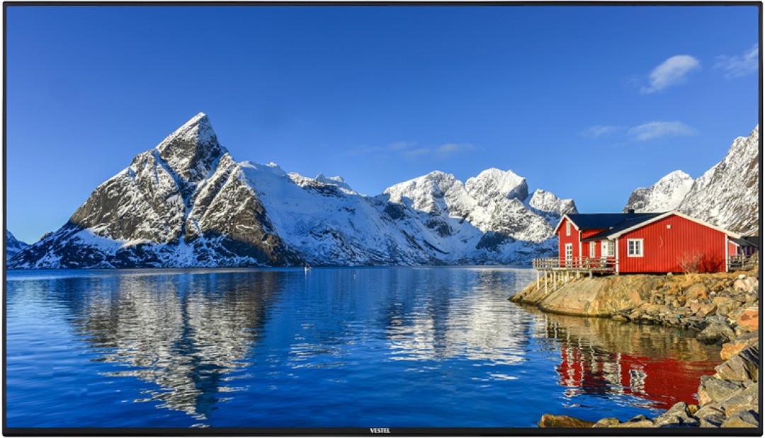 PD49U01 - Vestel Visual Solutions