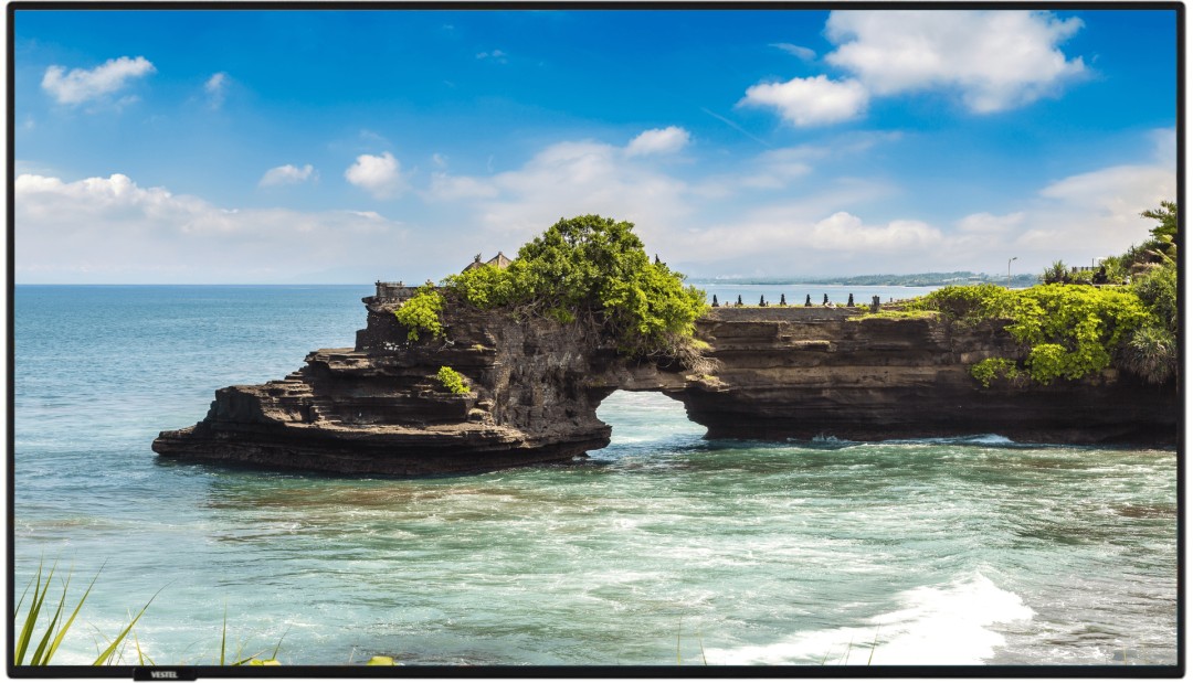 PN55J-2HH - Vestel Visual Solutions